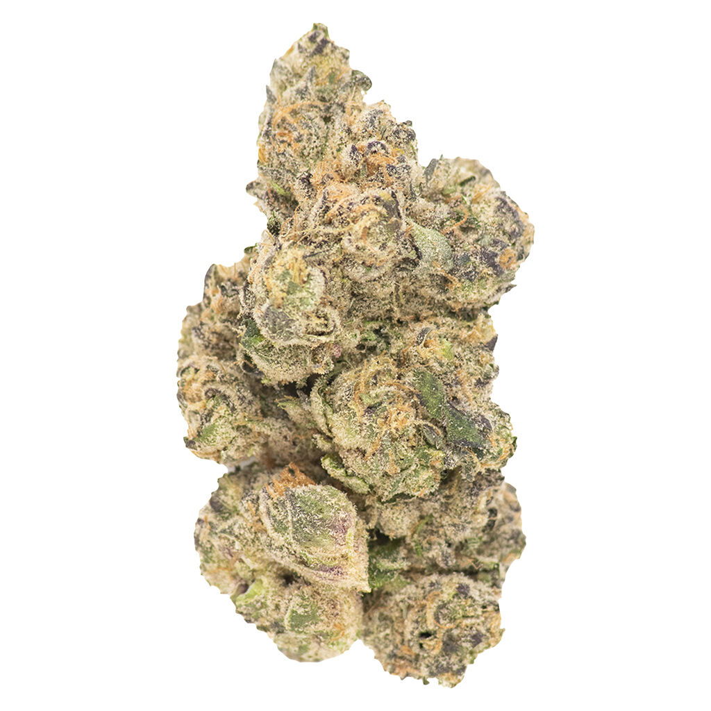 Choklit Park - Black Garlic - Hybrid - 3.5g | The Nug Co