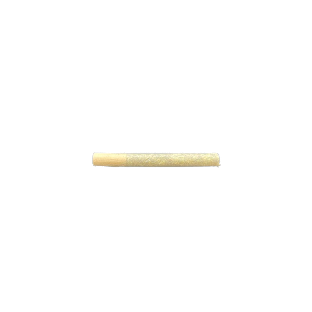 Disco Fsh - School of Spliffs Pre-Roll - Blend - 14x0.5g | The Nug Co